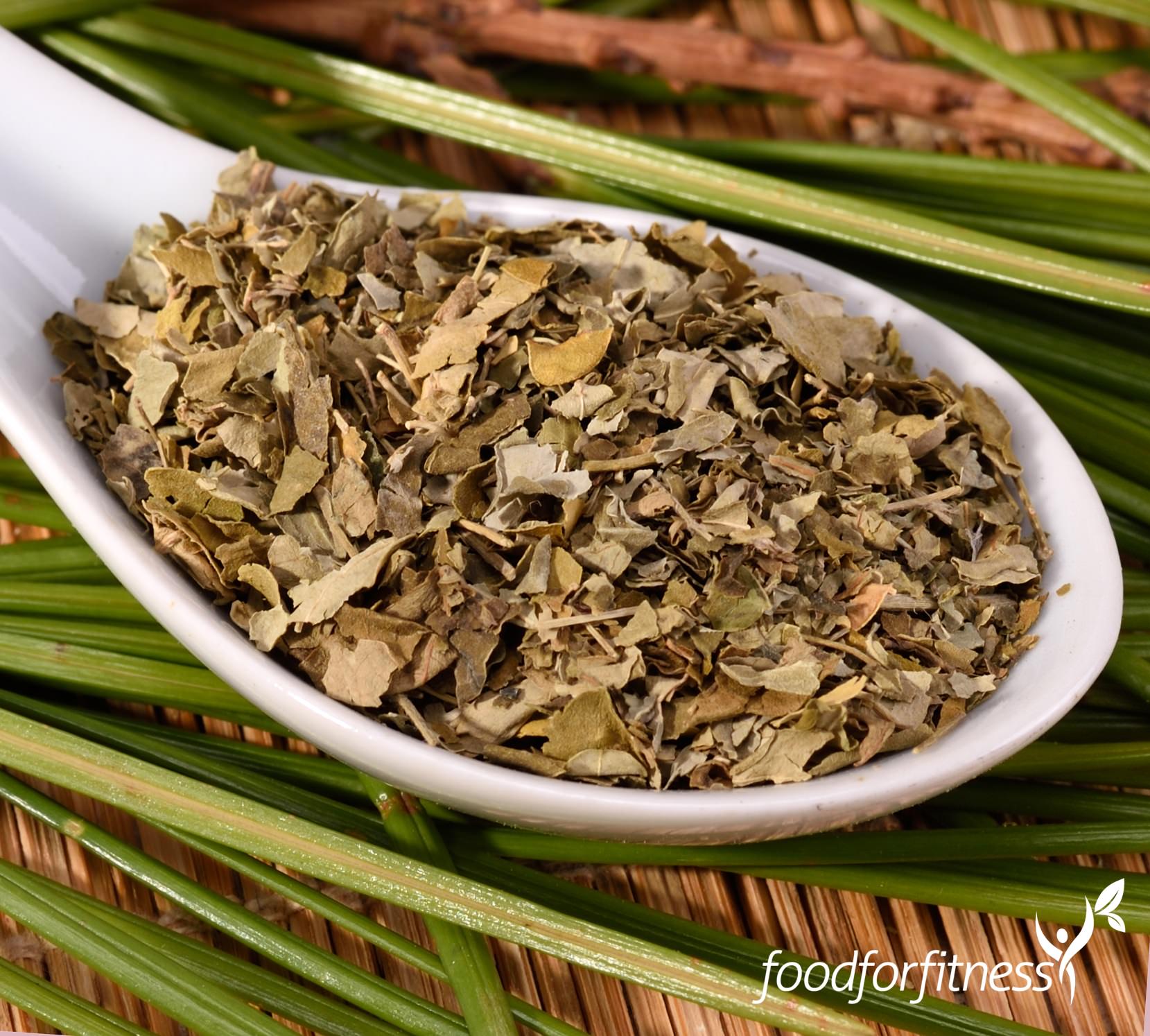 Moringa Tee - Wie nutzt man die Kraft aus dem Baum des Lebens?